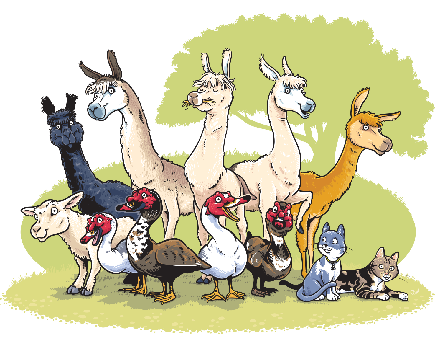 Smallholding Commission