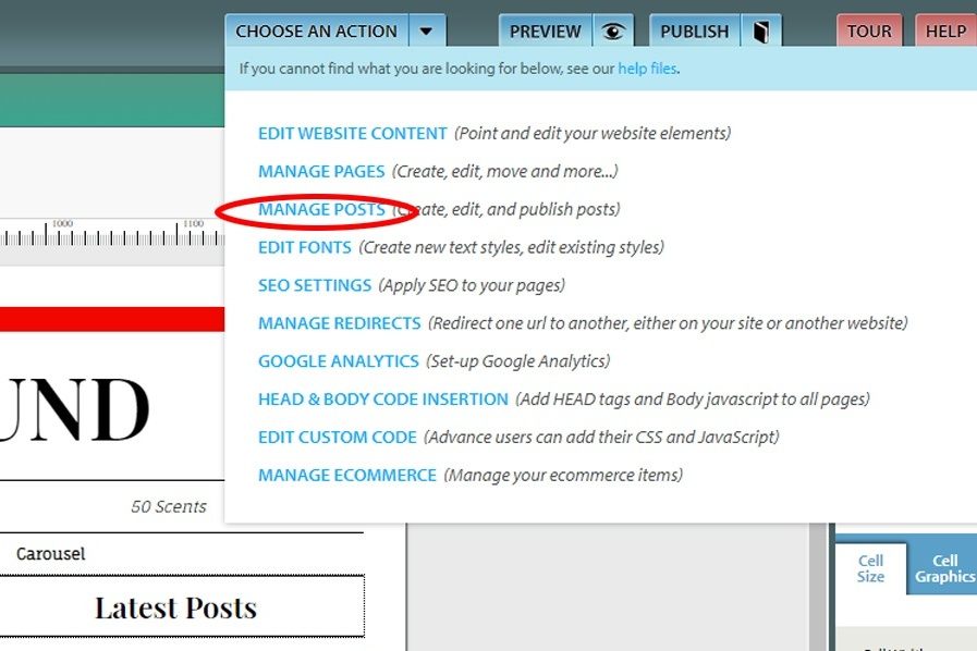 Blogging - Creating Your Posts