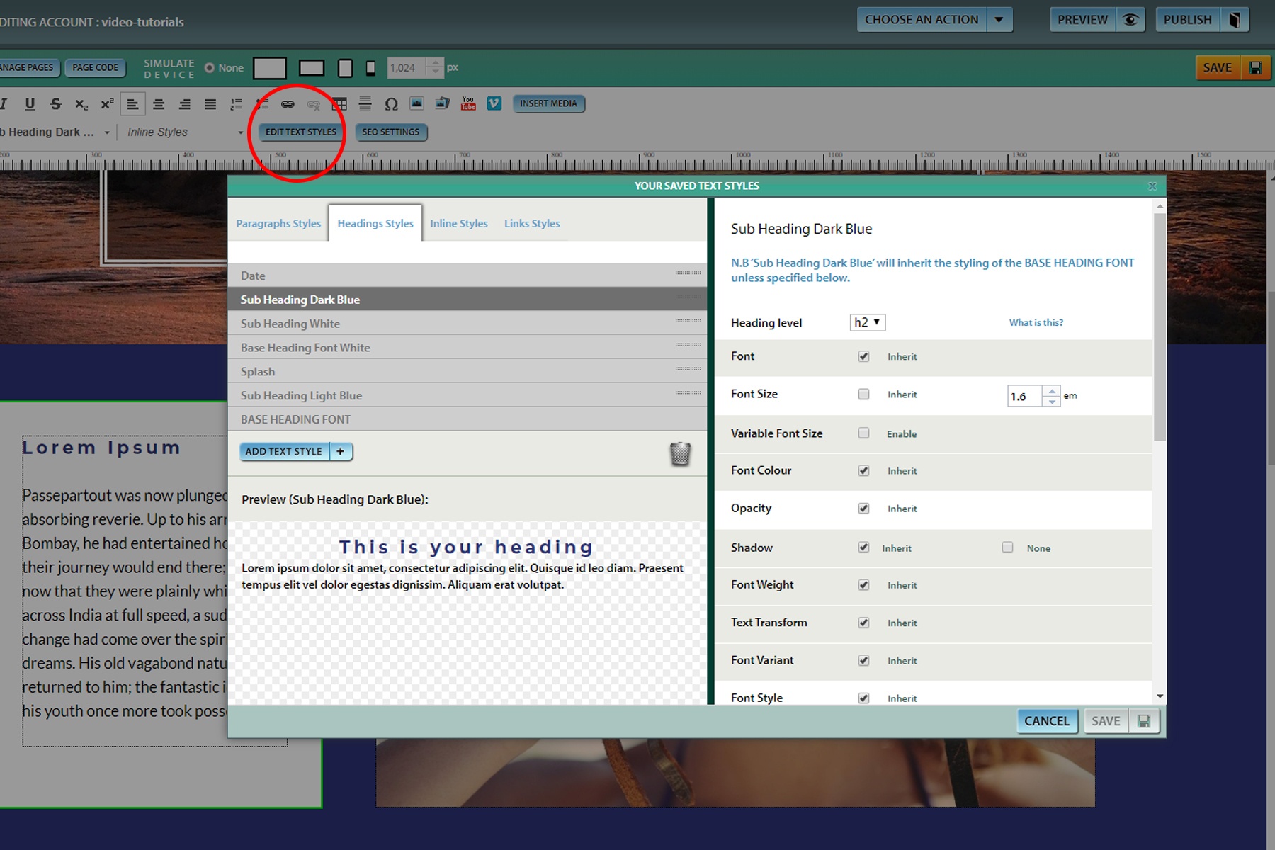 Edit Your Text Style s