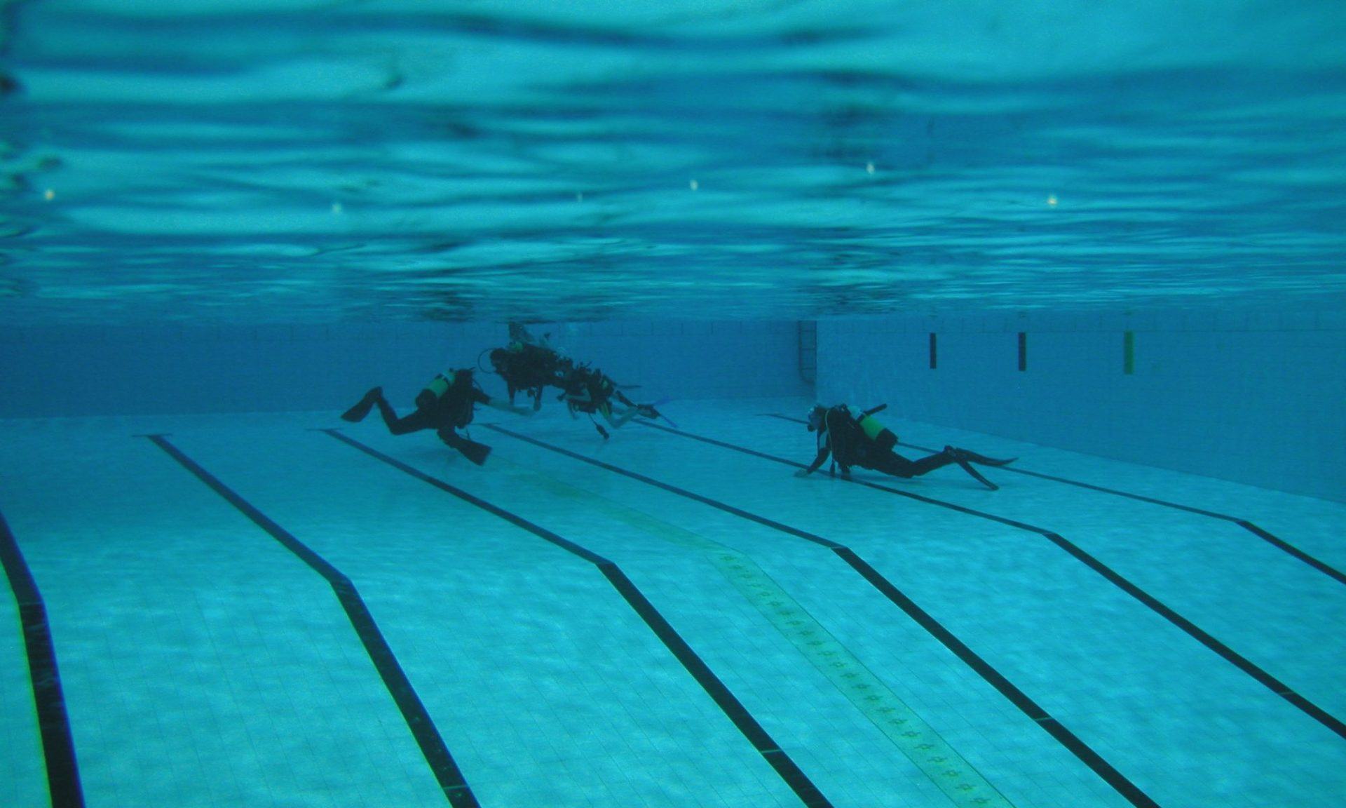 Want to Learn to Dive?