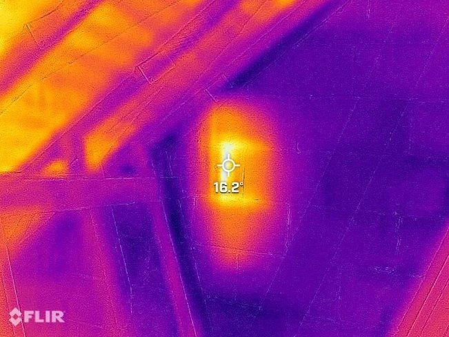 Thermal Image